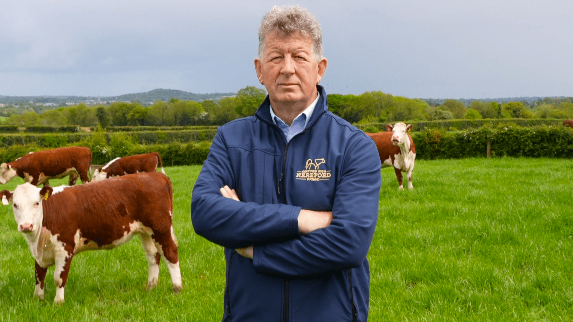 Glenn Jacob - Irish Hereford Prime