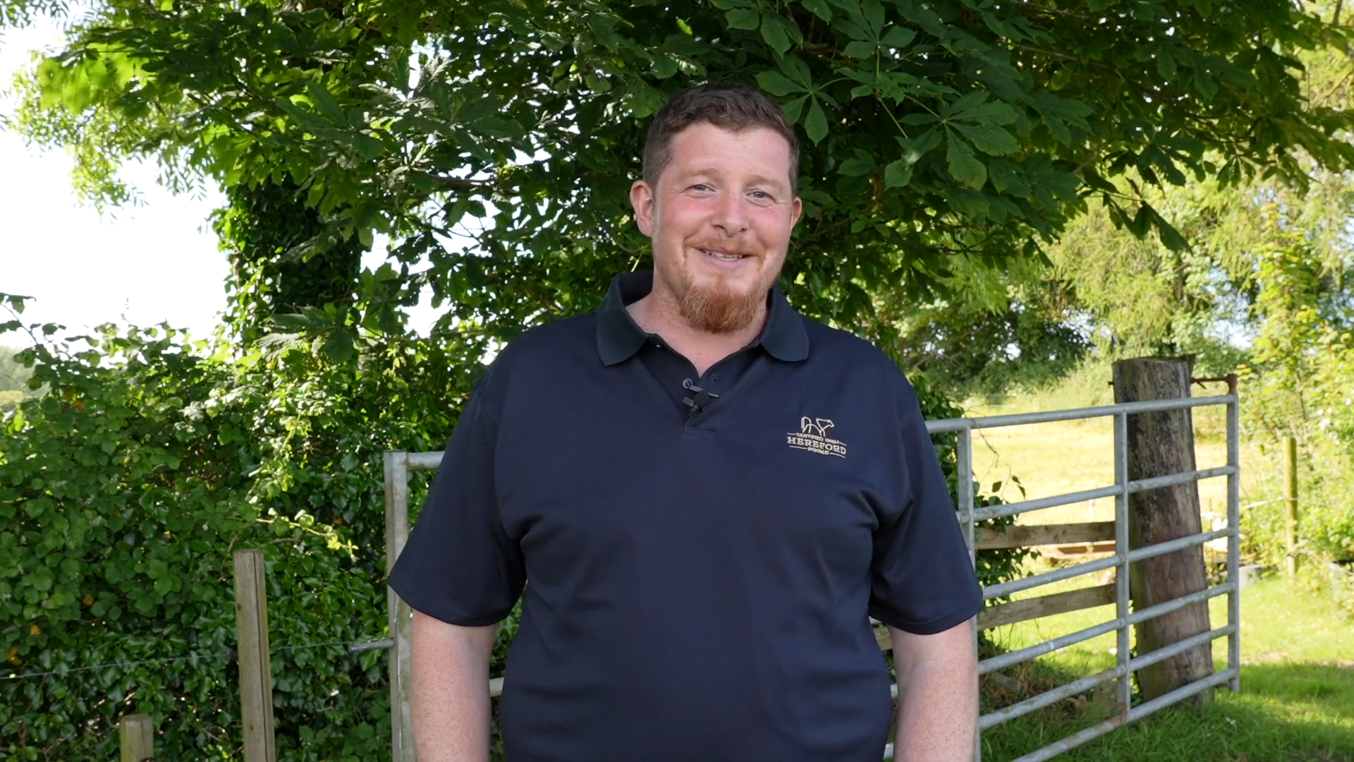 Edward Roe - Irish Hereford Prime